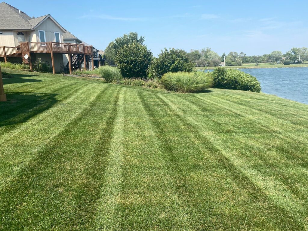 Lawn Care Maintenance – Carey's Great Lawn