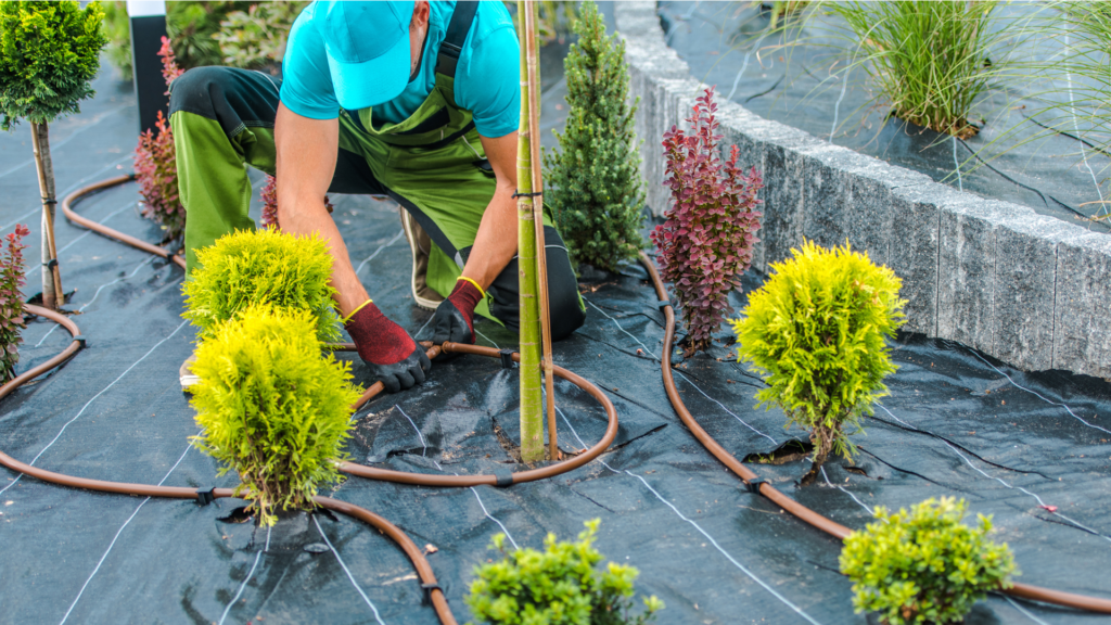 Landscaping Design & Installation in Independence, MO